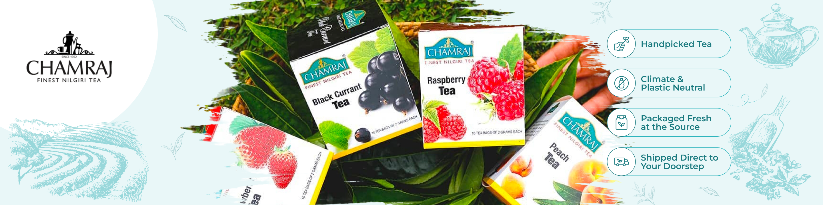 Chamraj Tea from Nilgiri – The Secret of Tea